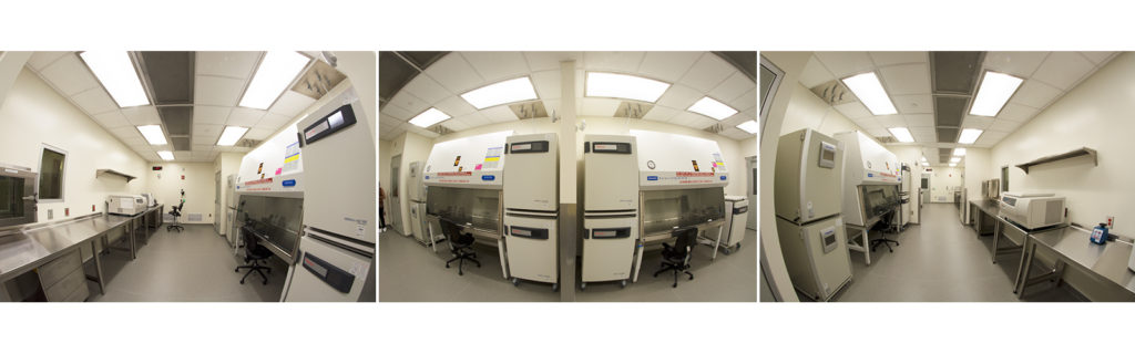 Program for Advanced Cell Therapy – Integrated personalized cell ...